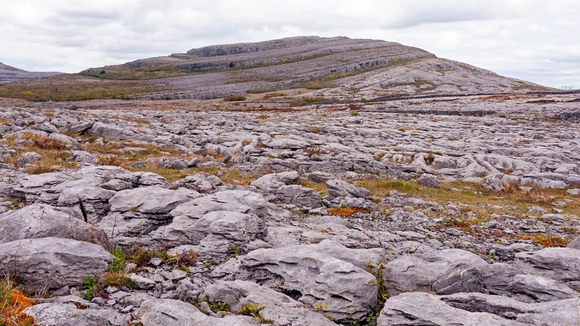The Burren National Park | Things to Do | Lady Gregory Hotel