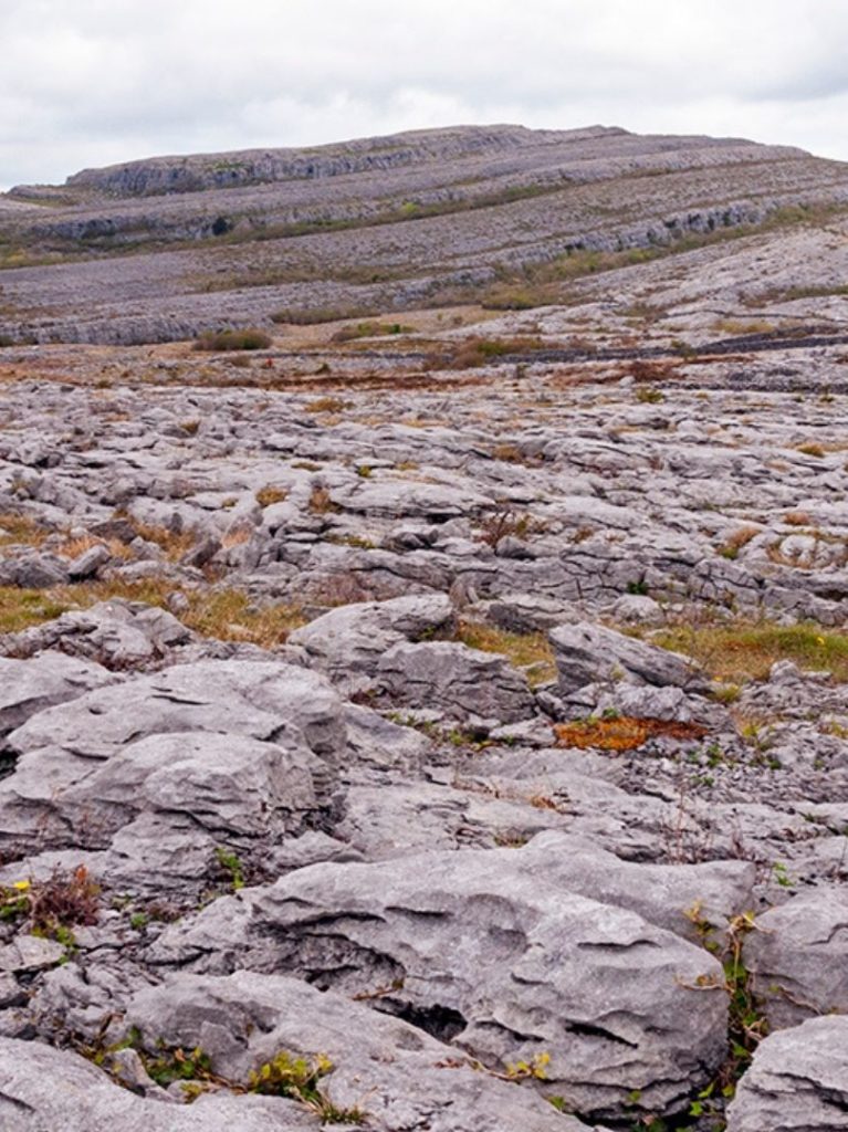 The Burren National Park | Things to Do | Lady Gregory Hotel