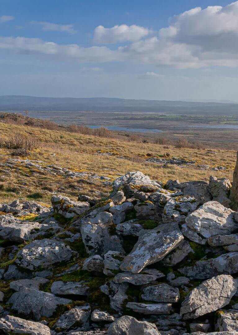 Lough Avalla Farm Loop | Things to Do | Lady Gregory Hotel